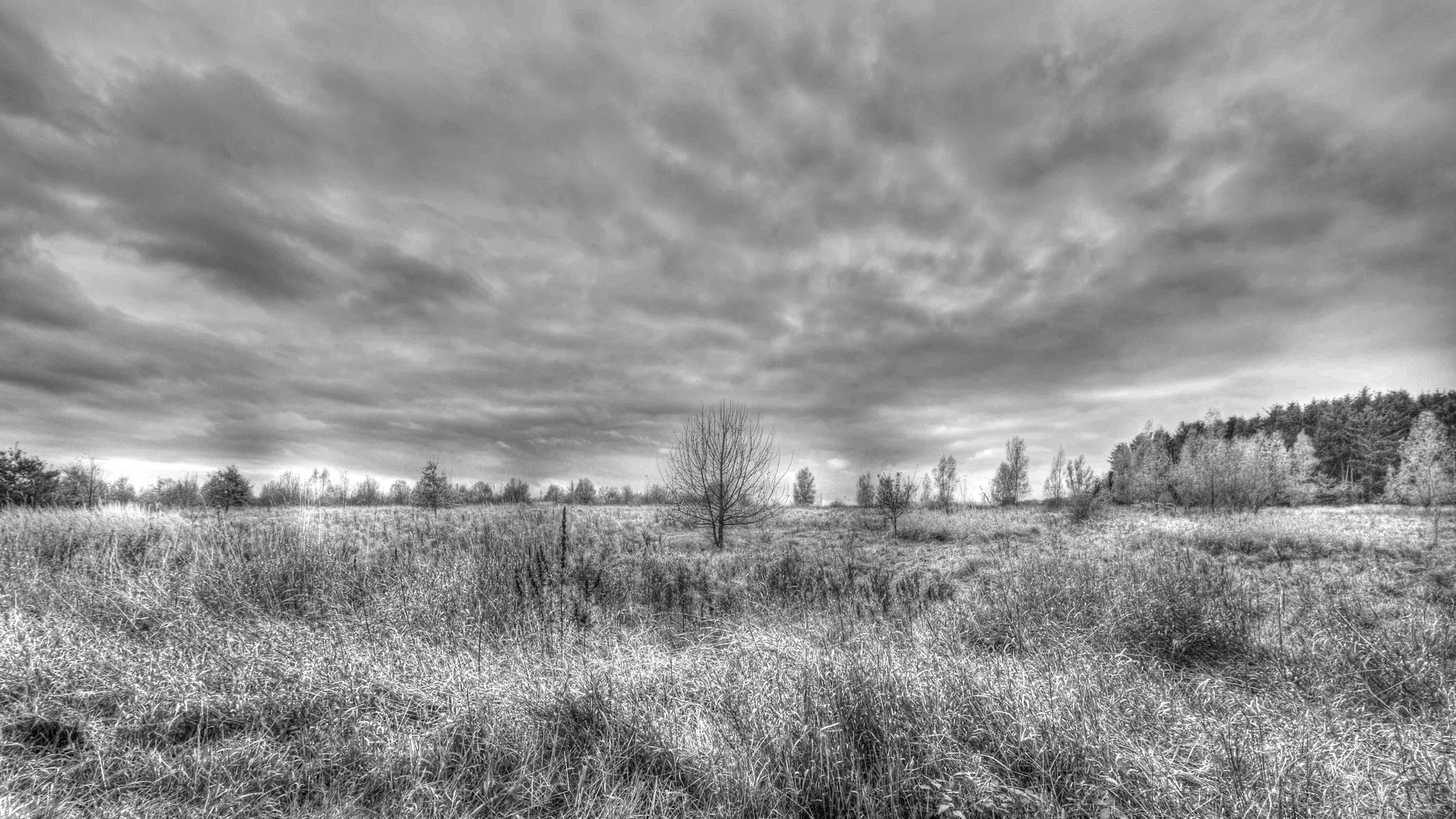 graue Landschaft..... Foto & Bild | natur, herbst, landschaft Bilder ...