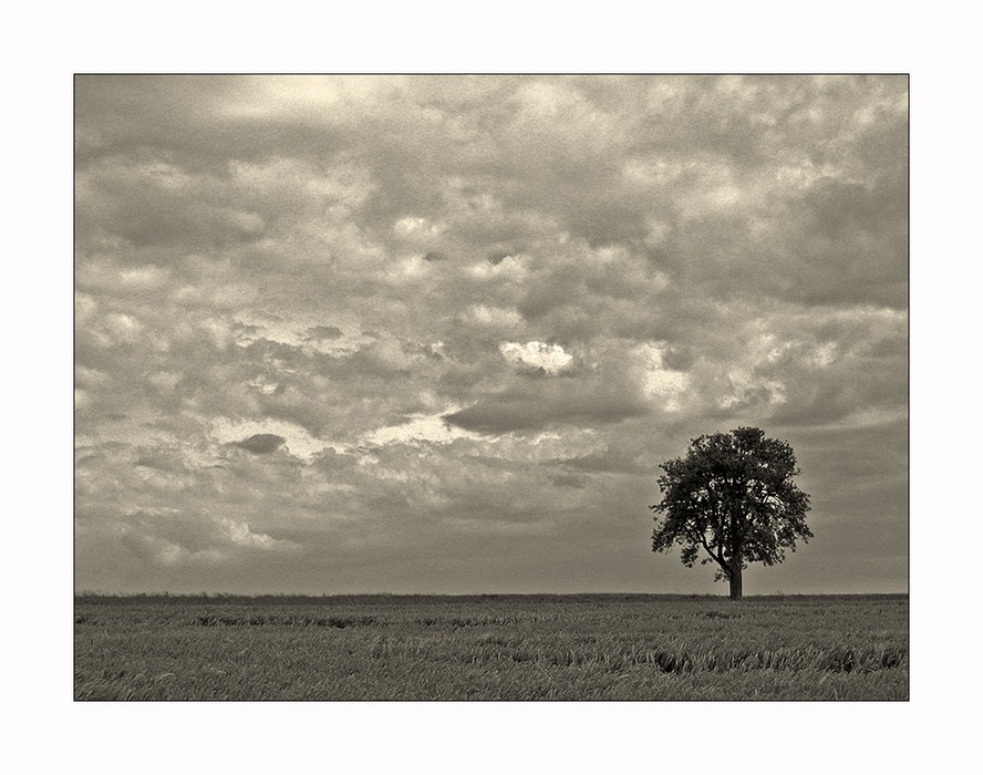 Grauer Tag Foto & Bild | emotionen, spezial Bilder auf fotocommunity