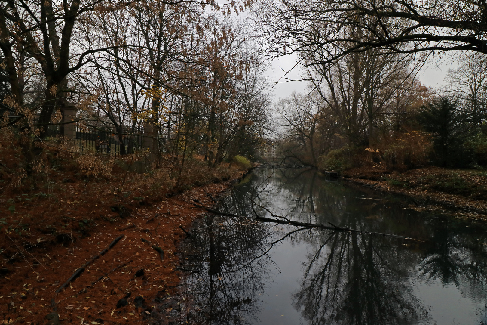 Grauer Tag am Inselwall Foto & Bild | park, dezember, landschaften ...