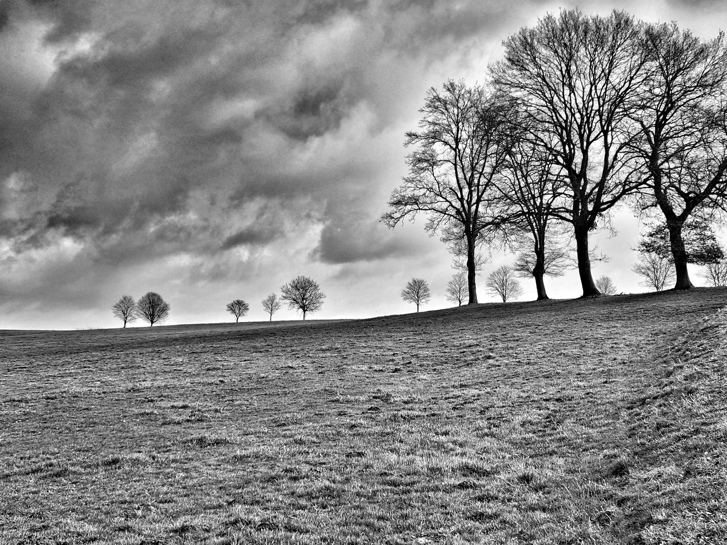 Grauer Tag Foto & Bild | Bilder auf fotocommunity