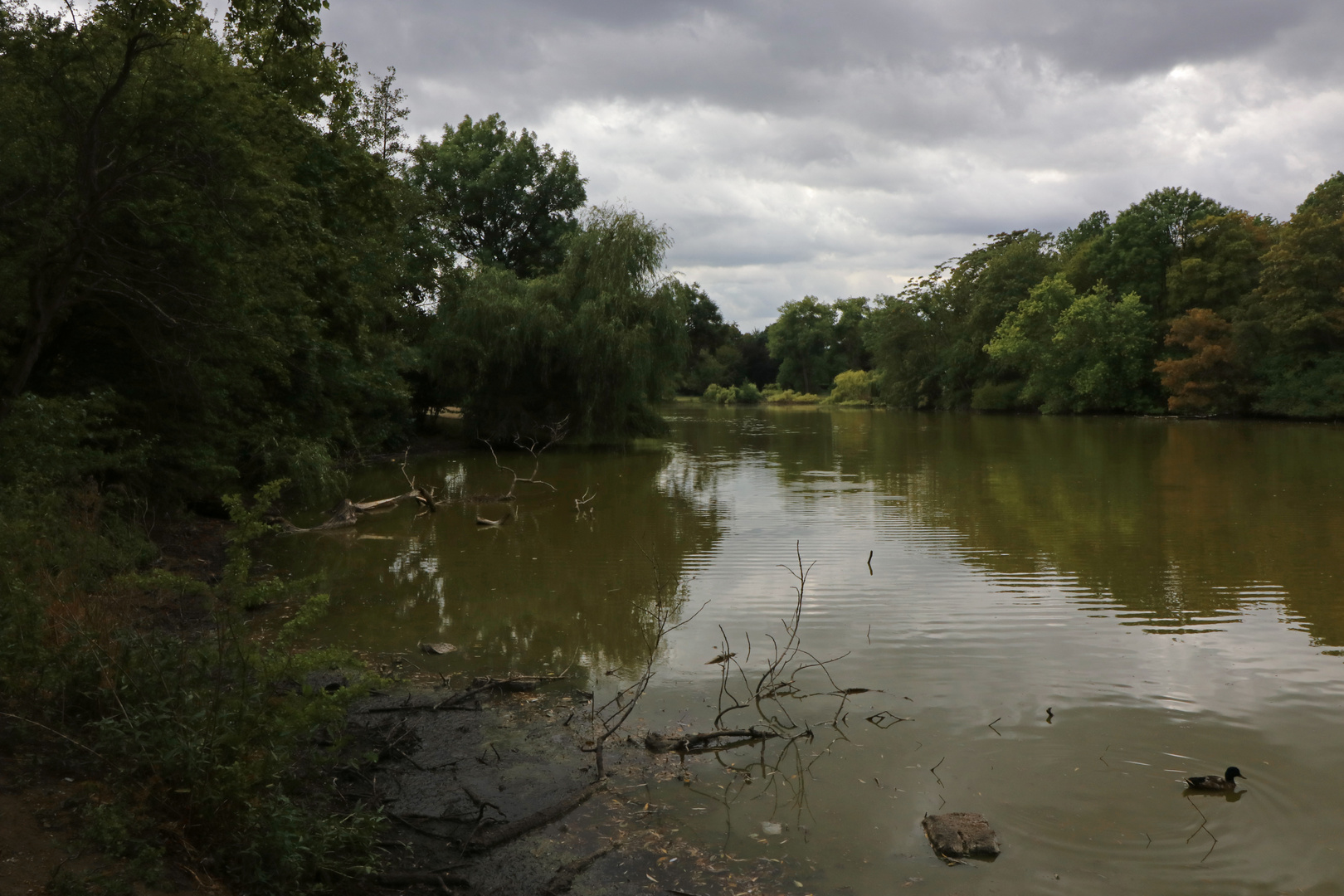 Grauer Tag im Park Foto & Bild | landschaften, sommer, wasser Bilder ...