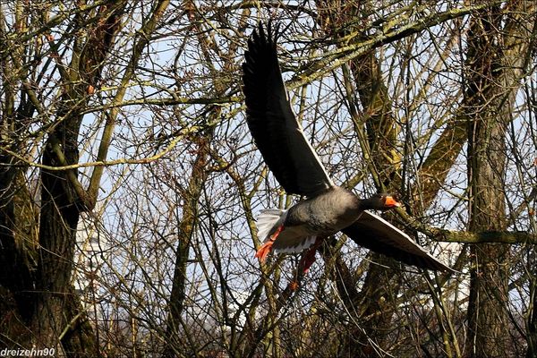 Natur, Naturbilder, Naturfotografie