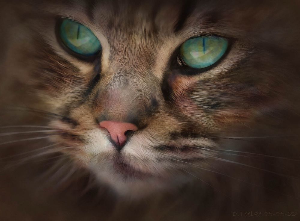 Green eyes ... Foto & Bild | natur, portrait, katze Bilder auf ...