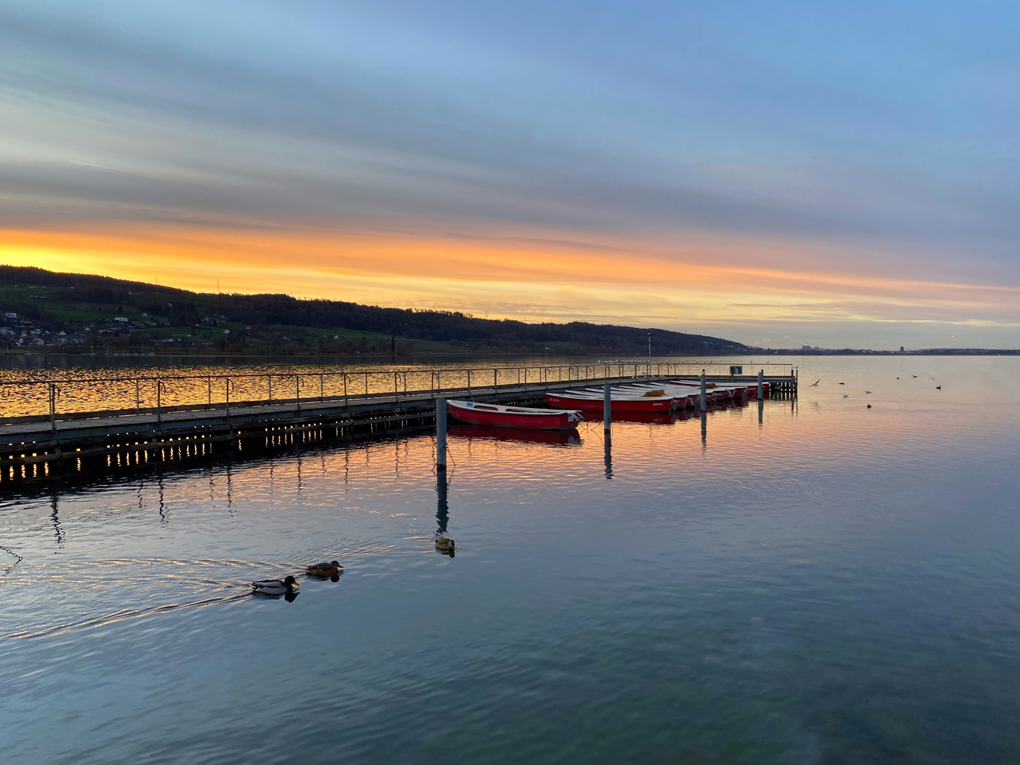 Greifensee Foto & Bild | sunset, sonnenuntergang, winter Bilder auf fotocommunity
