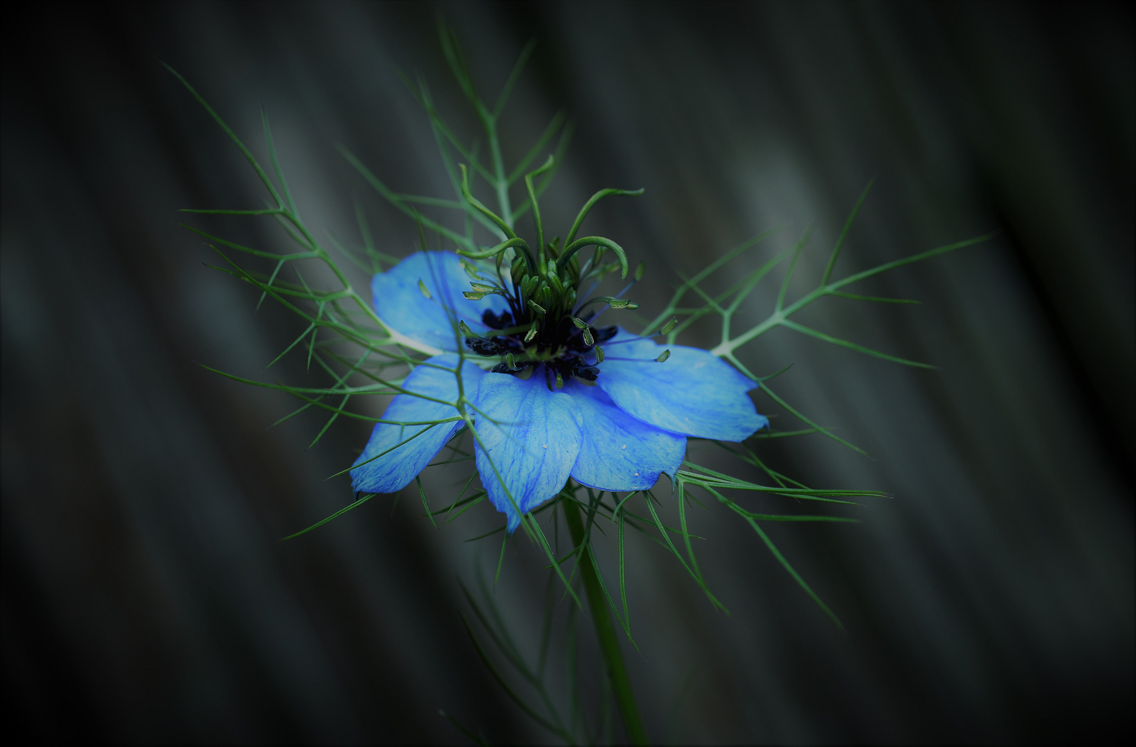 Gretchen im Grünen Foto & Bild | sommer, frühling, natur Bilder auf ...