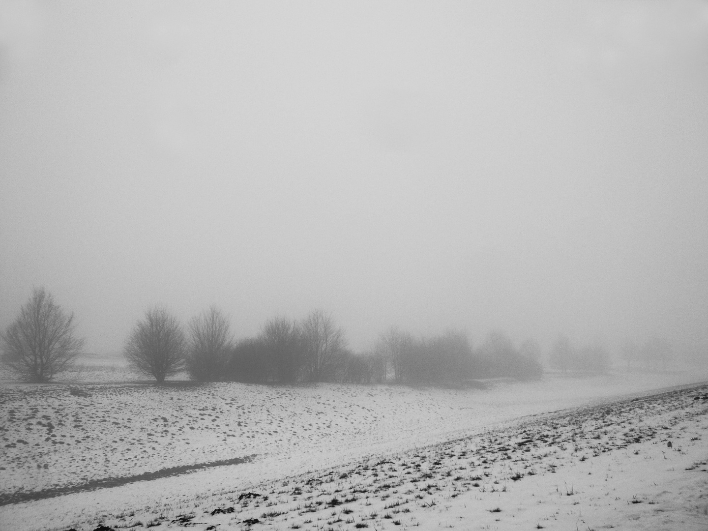 Grey December Foto & Bild | natur, div Bilder auf fotocommunity