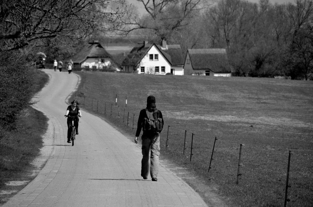 Grieben 2018 Foto & Bild | deutschland, europe, mecklenburg- vorpommern ...