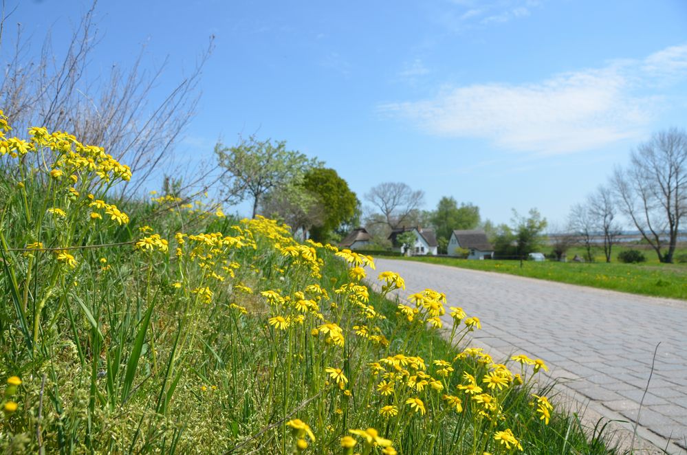 Grieben Foto & Bild | deutschland, europe, mecklenburg- vorpommern ...