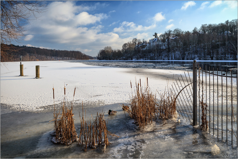 - Griebnitzsee - Foto & Bild | jahreszeiten, winter, color Bilder auf ...