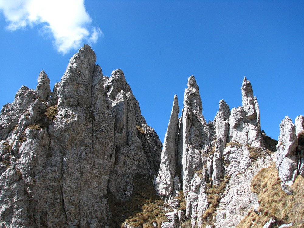 GRIGNETTA - LECCO Foto % Immagini| paesaggi, montagna, viaggi Foto su ...