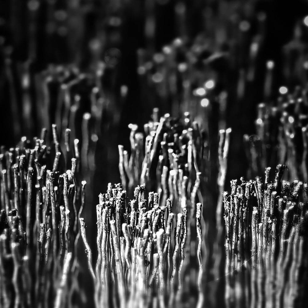 Grillbürste Foto & Bild | projekte, monochrom, bearbeitungs - techniken Bilder auf fotocommunity