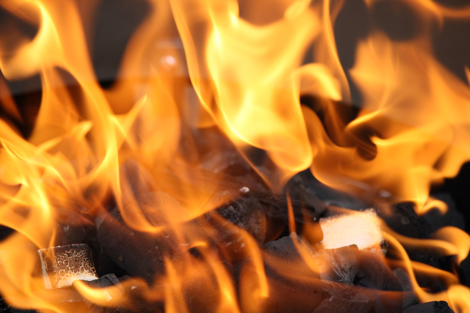 Grillfeuer Foto & Bild | die elemente, feuer, grillen Bilder auf ...