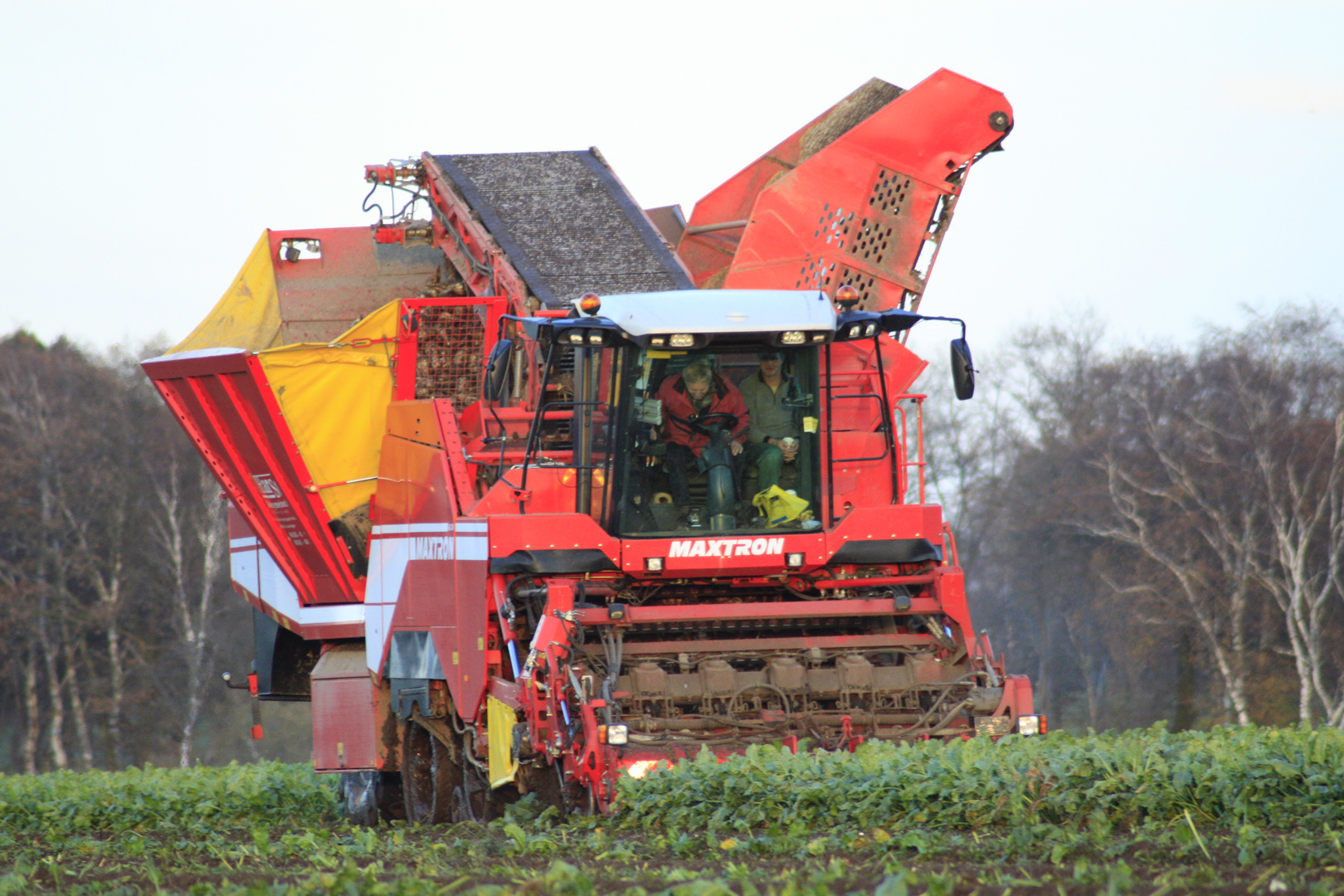 Grimme Maxtron 620 Foto & Bild | industrie und technik ...