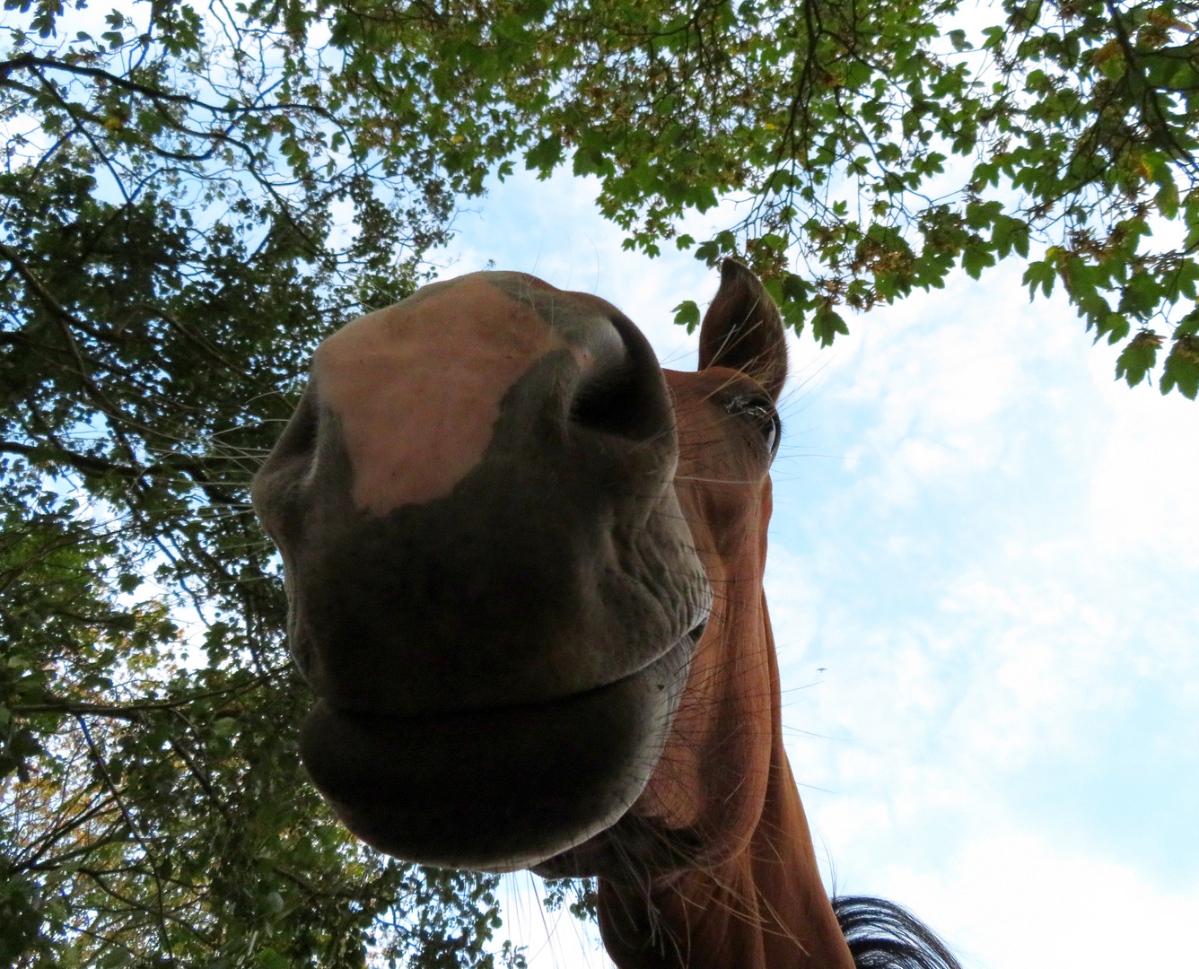 grins ... Foto & Bild | world, dokumentation, landschaften Bilder auf ...