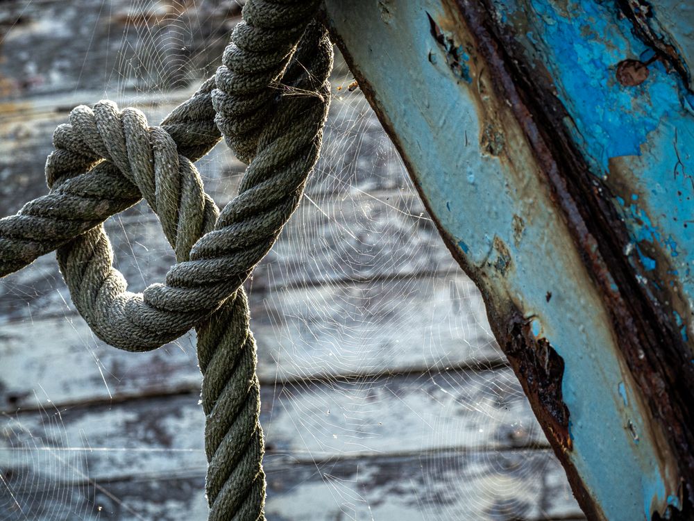 Grobes und Feines Foto & Bild | france, world, spezial Bilder auf ...