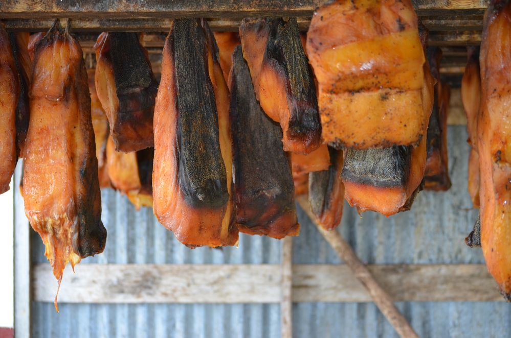 Grönlandhai bei der Lufttrocknung Foto & Bild | europe, scandinavia ...