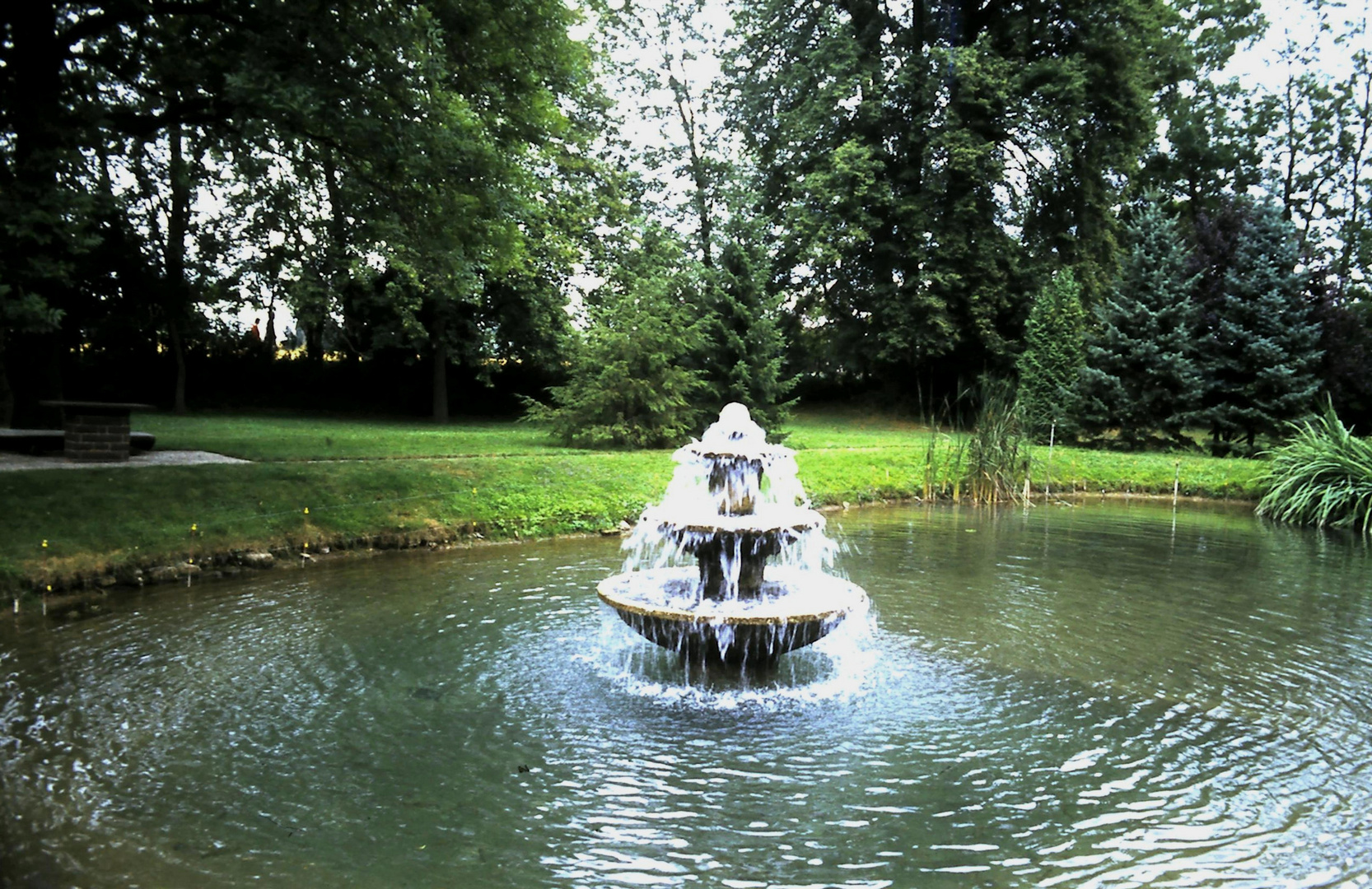 Grone-Quelle Foto & Bild | jahreszeiten, sommer, natur Bilder auf ...