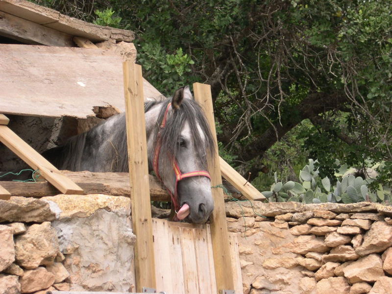 Grosero Imagen & Foto | naturaleza, jovenes Fotos de fotocommunity
