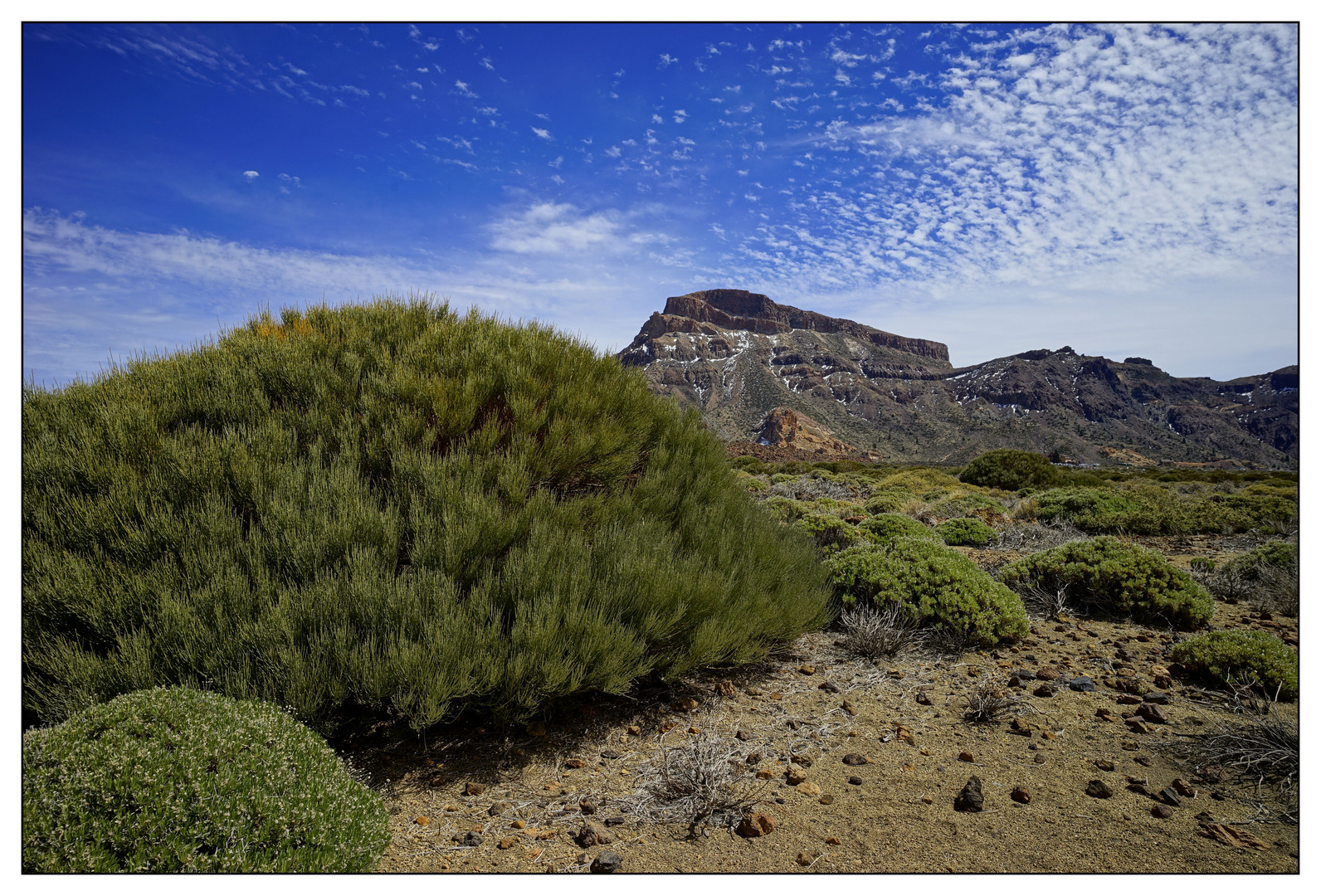 - große Büsche, riesen Felsen - Foto & Bild | landschaft, berge, natur ...