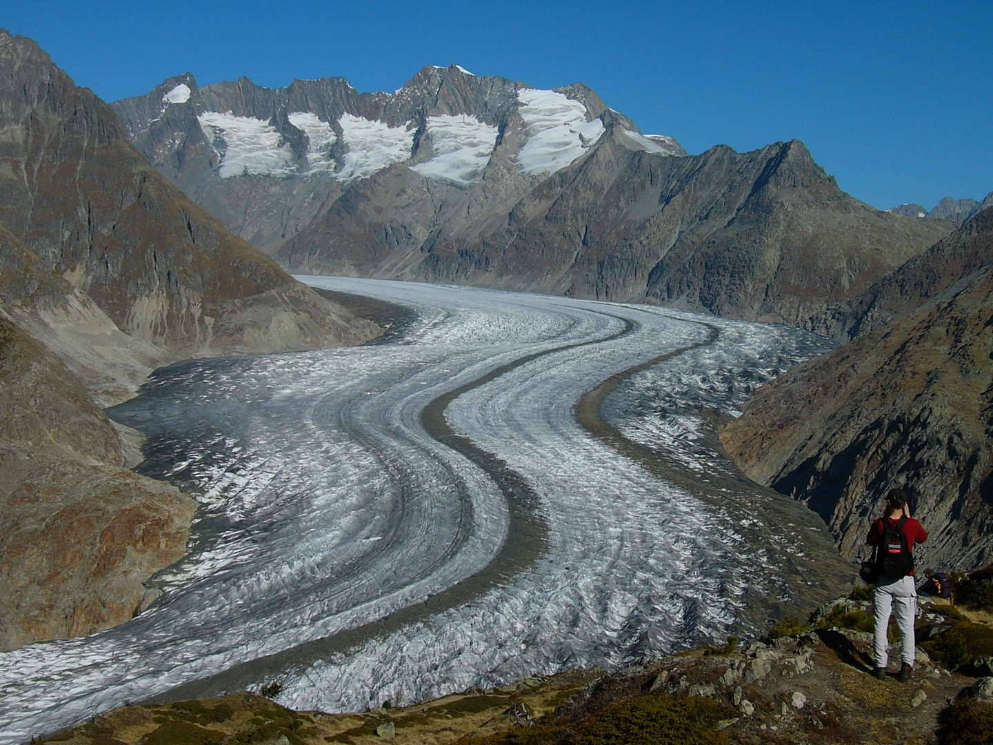 Grosser Aletschgletscher Foto & Bild | natur Bilder auf fotocommunity