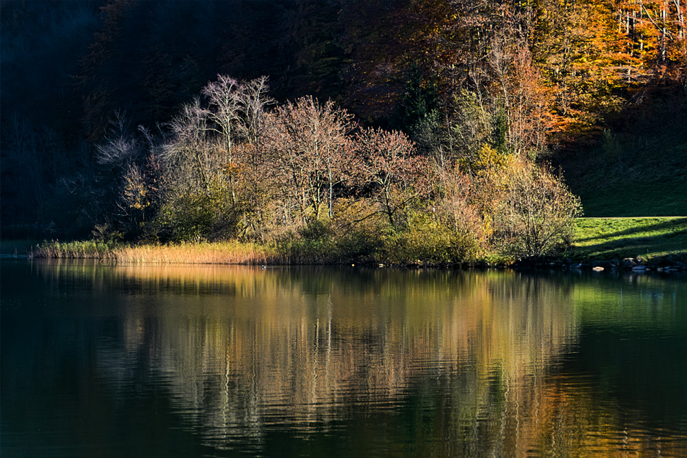 Großer Alpsee Foto & Bild | deutschland, europe, baden- württemberg ...