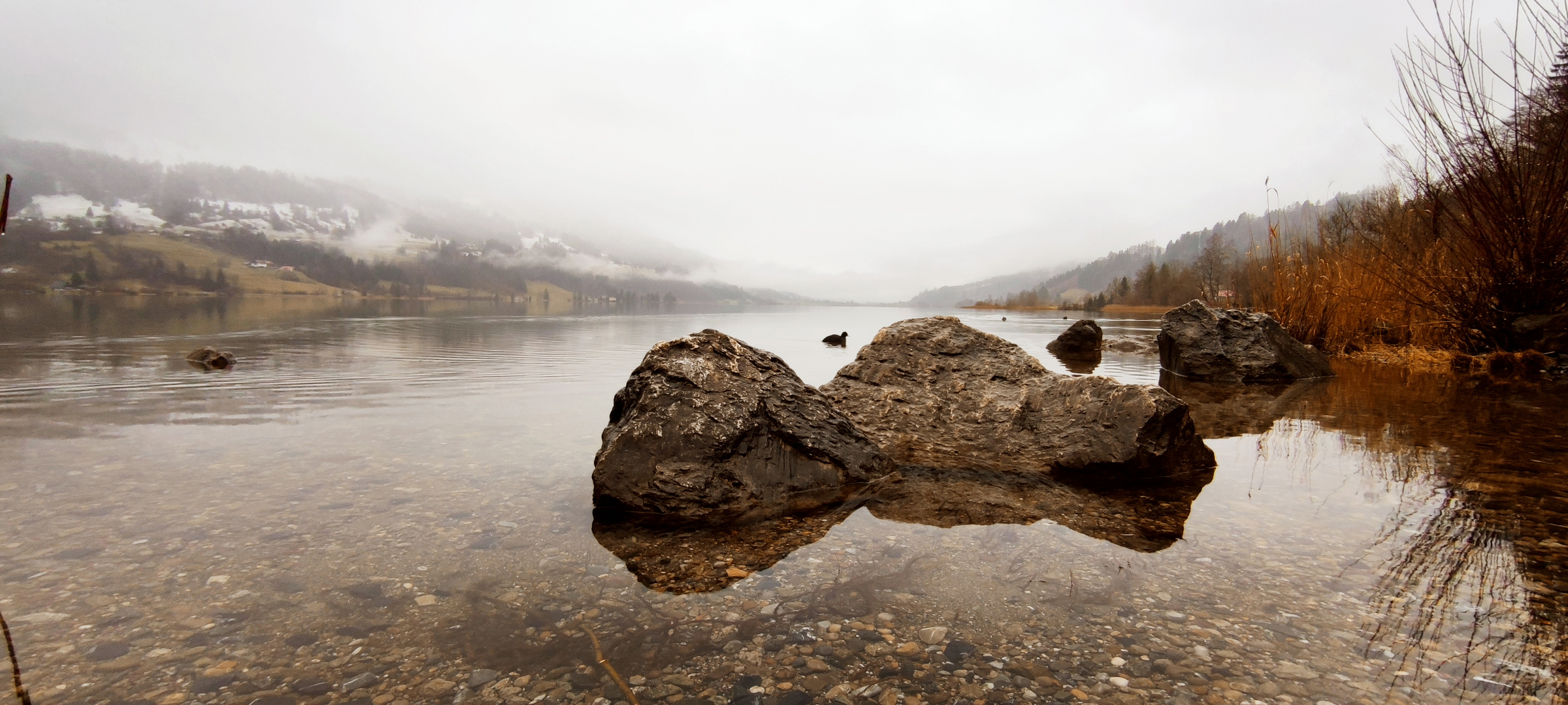 Großer Alpsee Foto & Bild | landschaft, fotos, outdoor Bilder auf ...