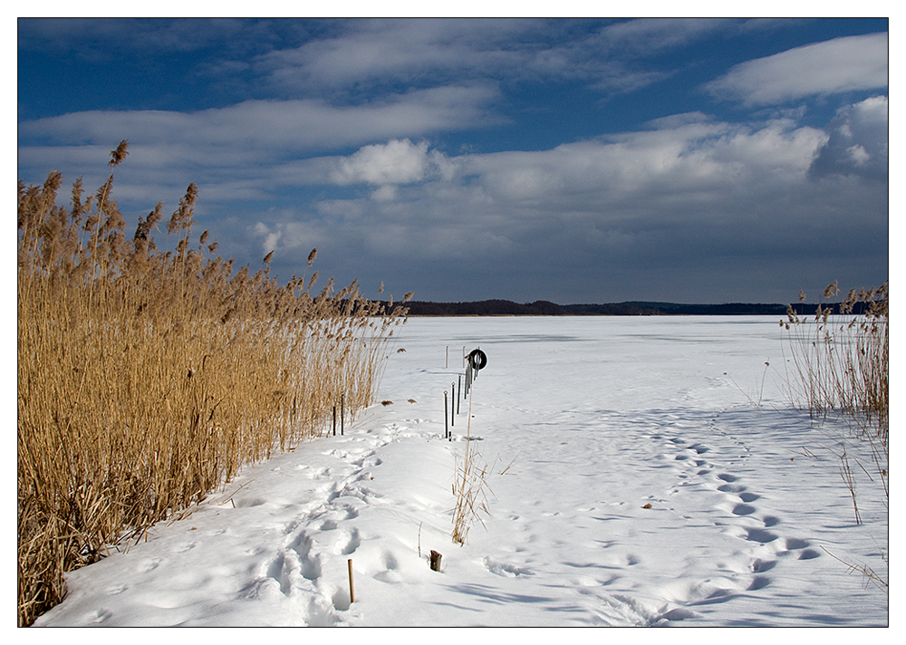 Großer Labussee Foto & Bild | deutschland, europe, mecklenburg ...