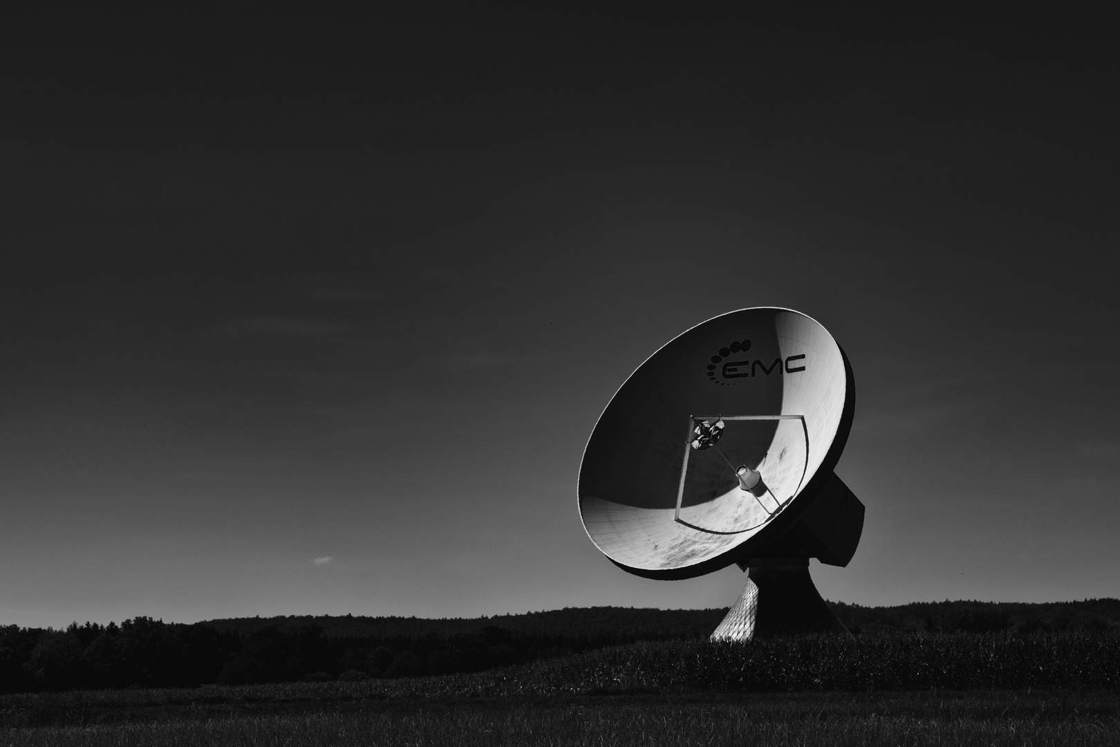 Großer Lauscher Foto & Bild | Bilder auf fotocommunity