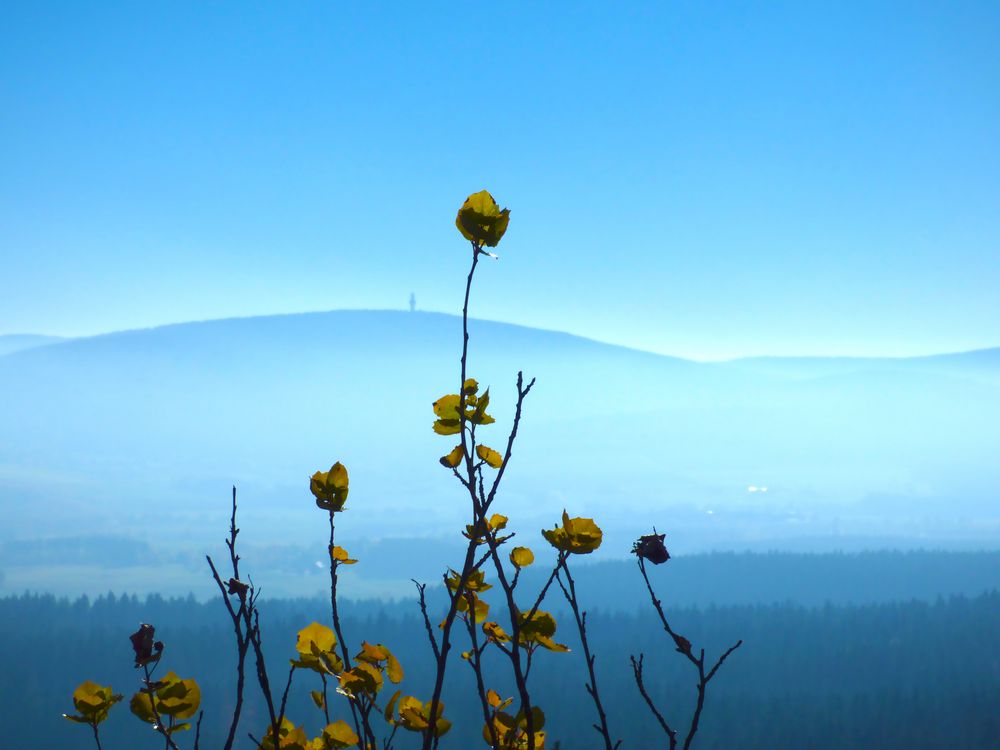Großer Waldstein Foto & Bild | landschaft, natur Bilder auf fotocommunity