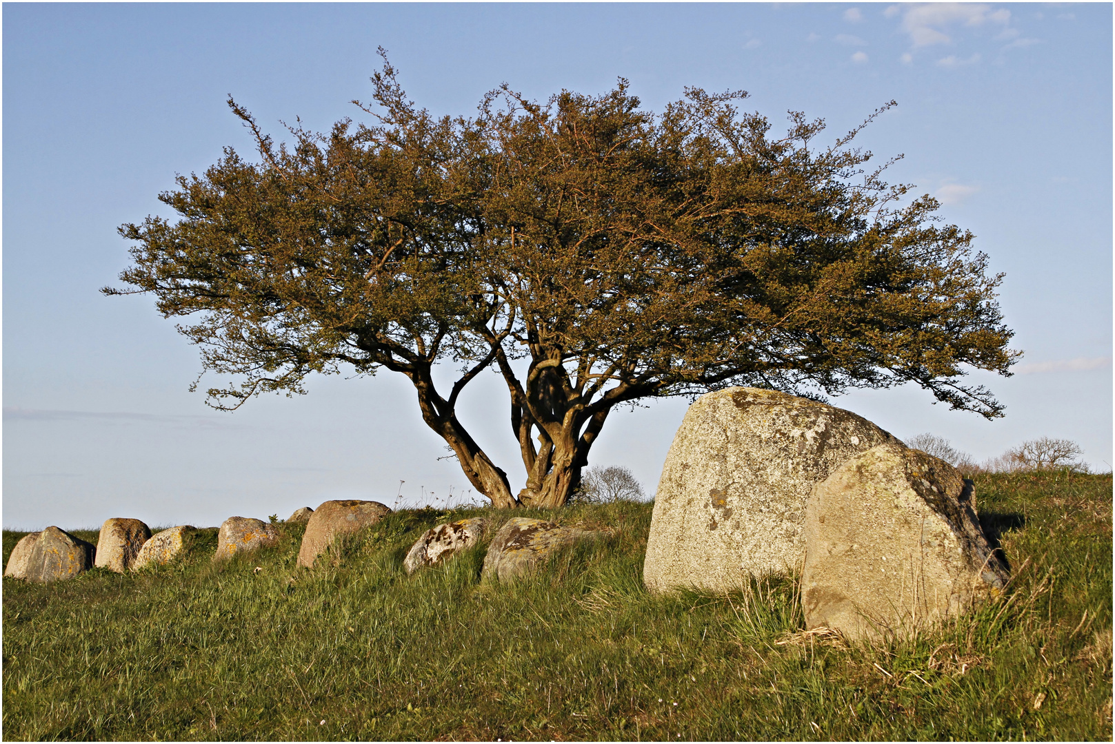 Großsteingrab bei Nobbin Foto & Bild | deutschland, europe, mecklenburg ...