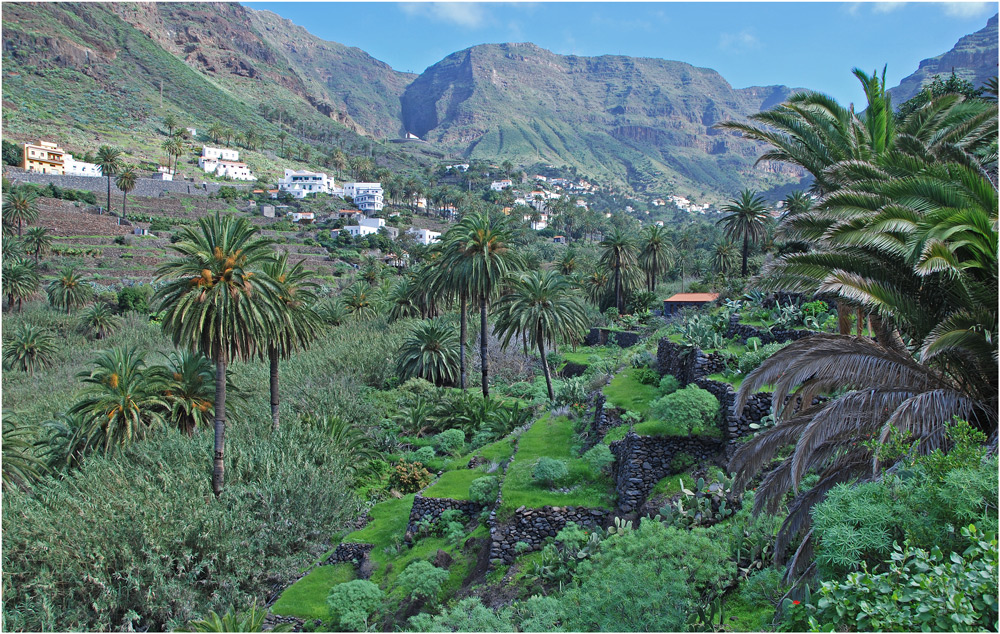 Grün Foto & Bild | europe, canary islands die kanaren, spain Bilder auf ...