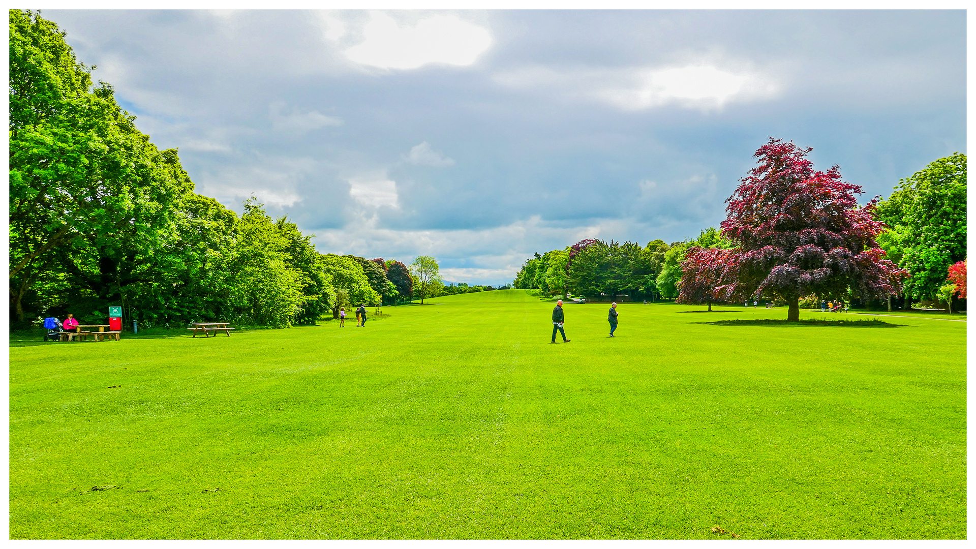 Grün Foto & Bild | europe, united kingdom & ireland, ireland Bilder auf ...