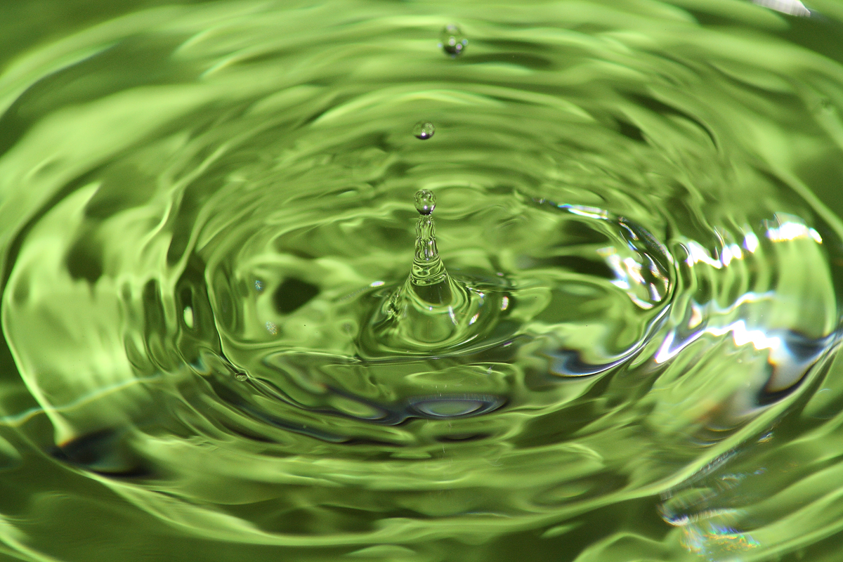 Grün, ja Grün... Foto & Bild | experimente, wasser, tropfen Bilder auf ...