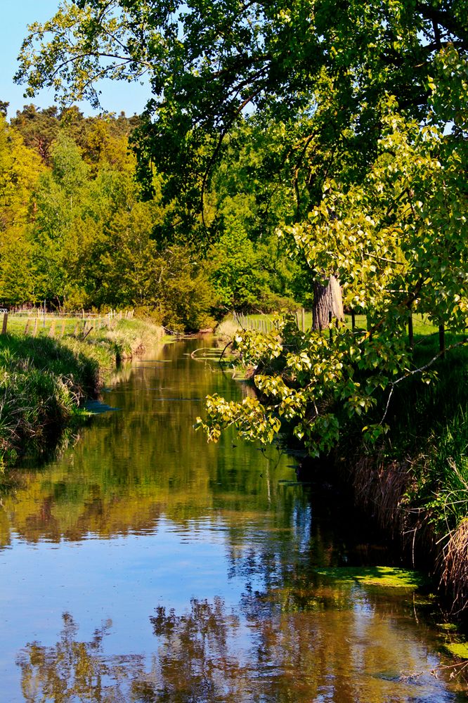 grüne Flusslandschaft. Foto & Bild | landschaft, bach, fluss & see, bachläufe Bilder auf ...