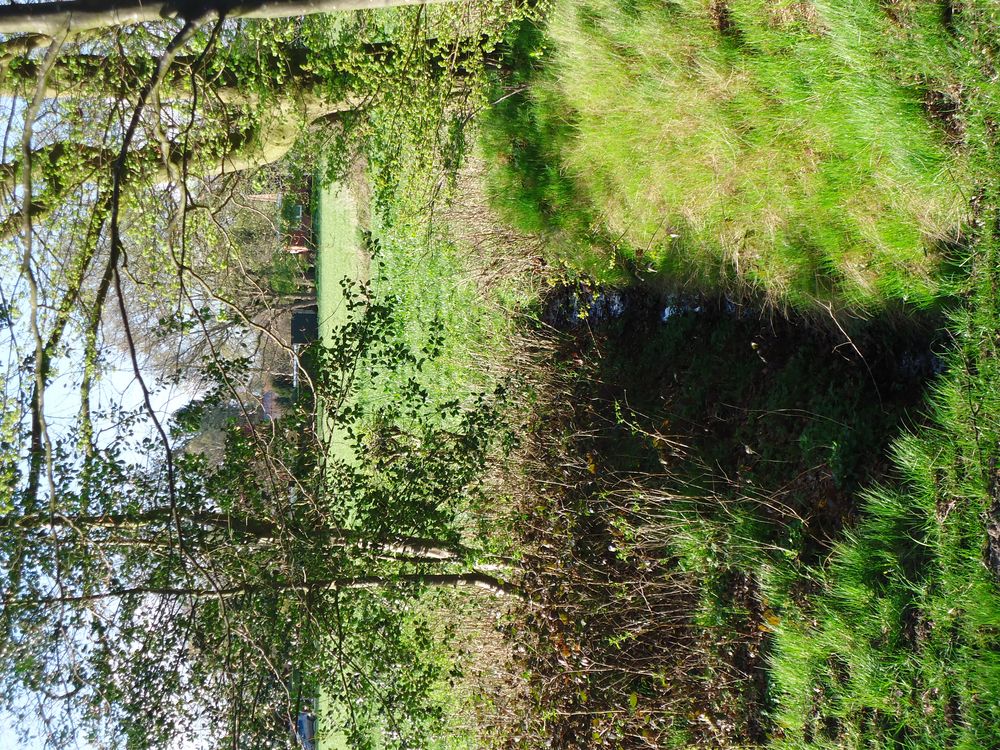 grüne Quelle Foto & Bild | blumen u. grün, wald, natur Bilder auf ...