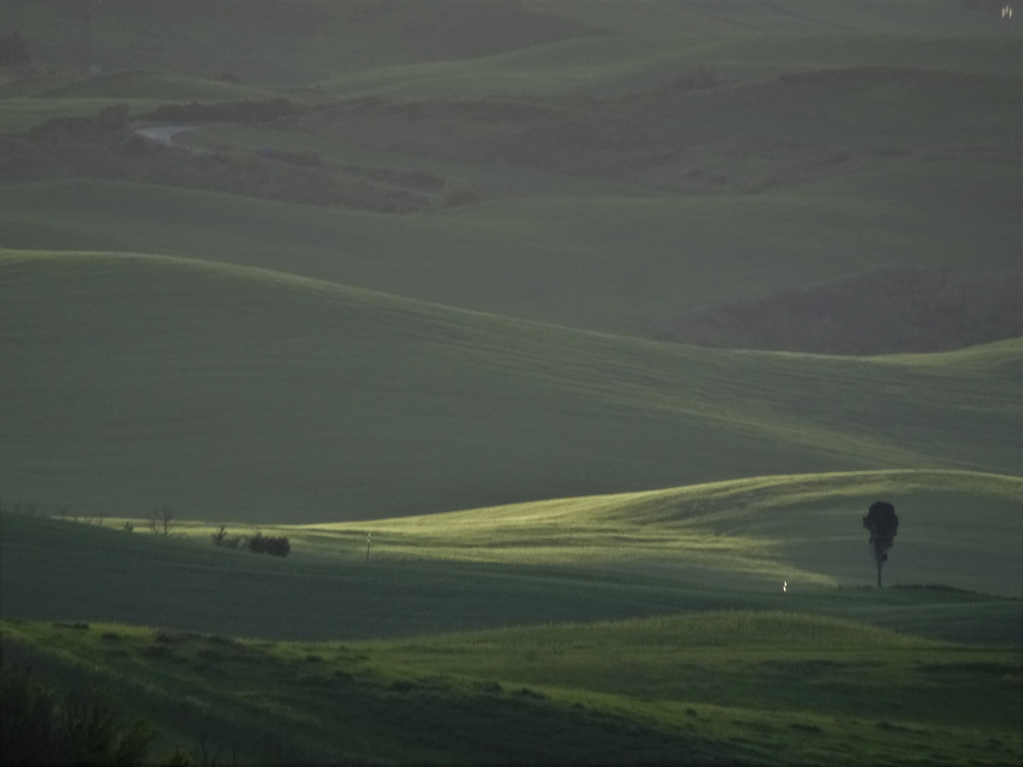 Grüne Wogen Foto & Bild | landschaft, Äcker, felder & wiesen, natur ...