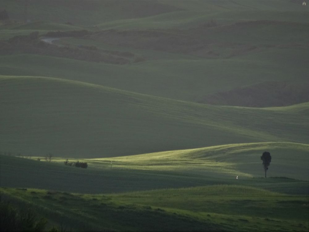 Grüne Wogen Foto & Bild | landschaft, Äcker, felder & wiesen, natur ...