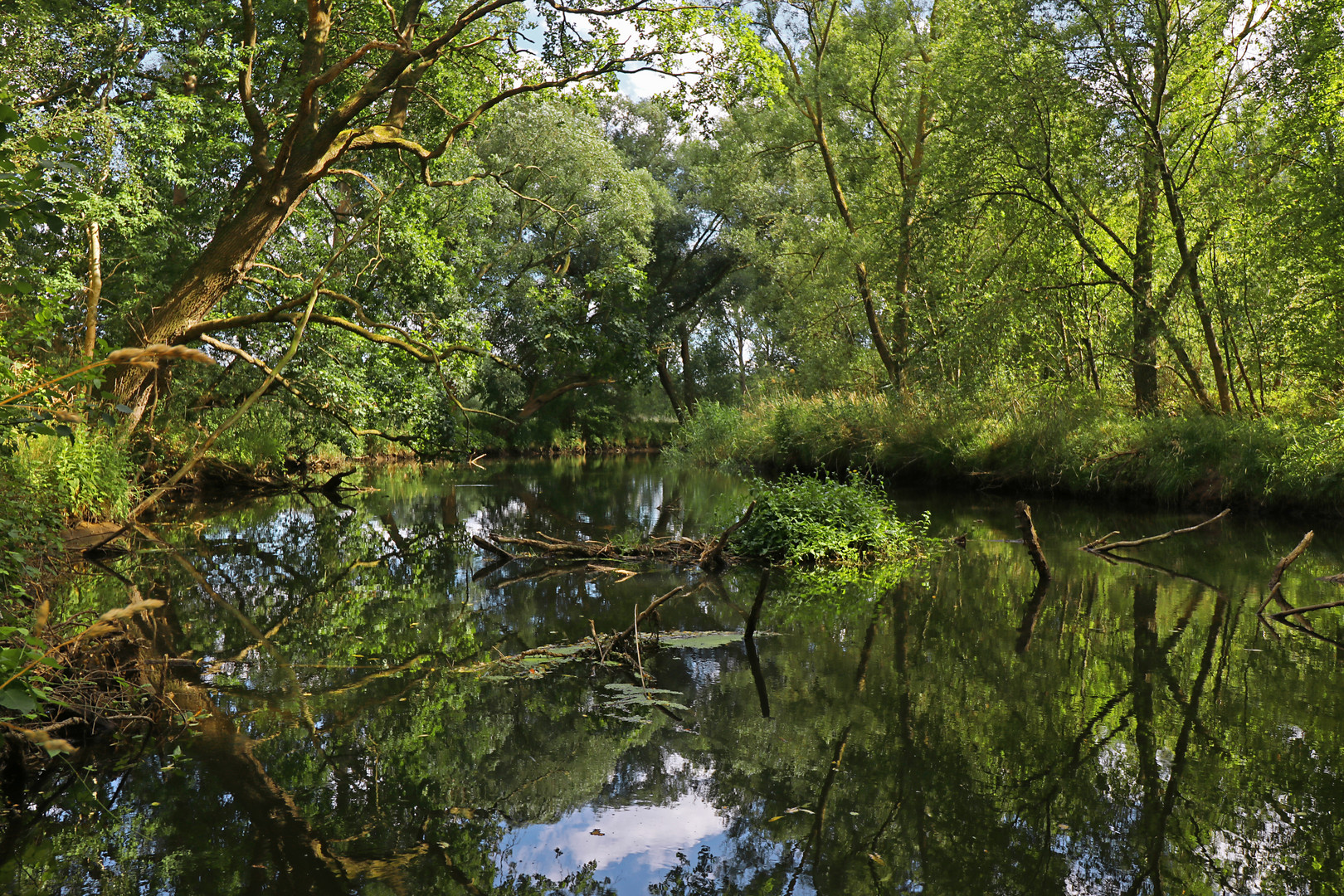 Grüner Fluss Foto & Bild | landschaften, sommer, wasser Bilder auf ...