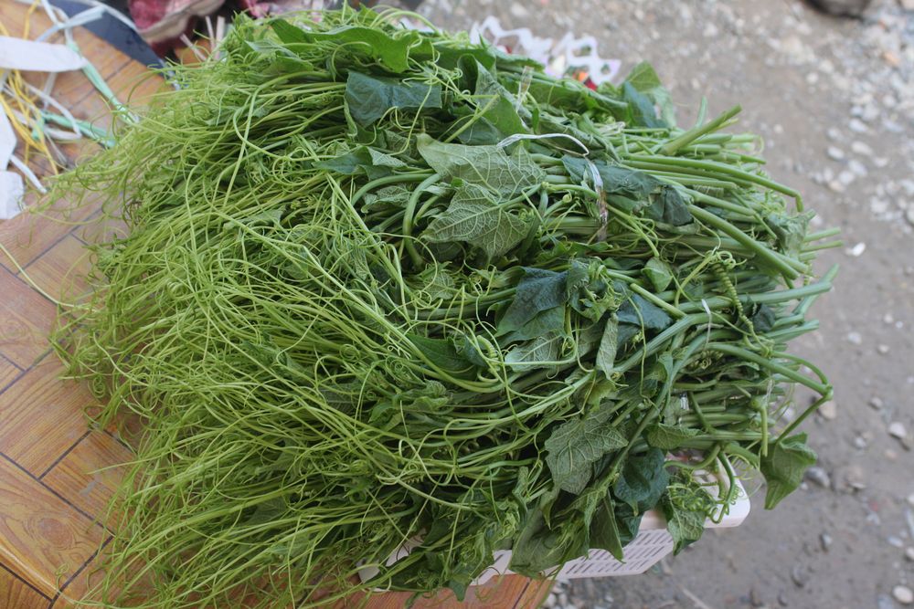 Grünzeug Foto & Bild | asia, malaysia, southeast asia Bilder auf ...