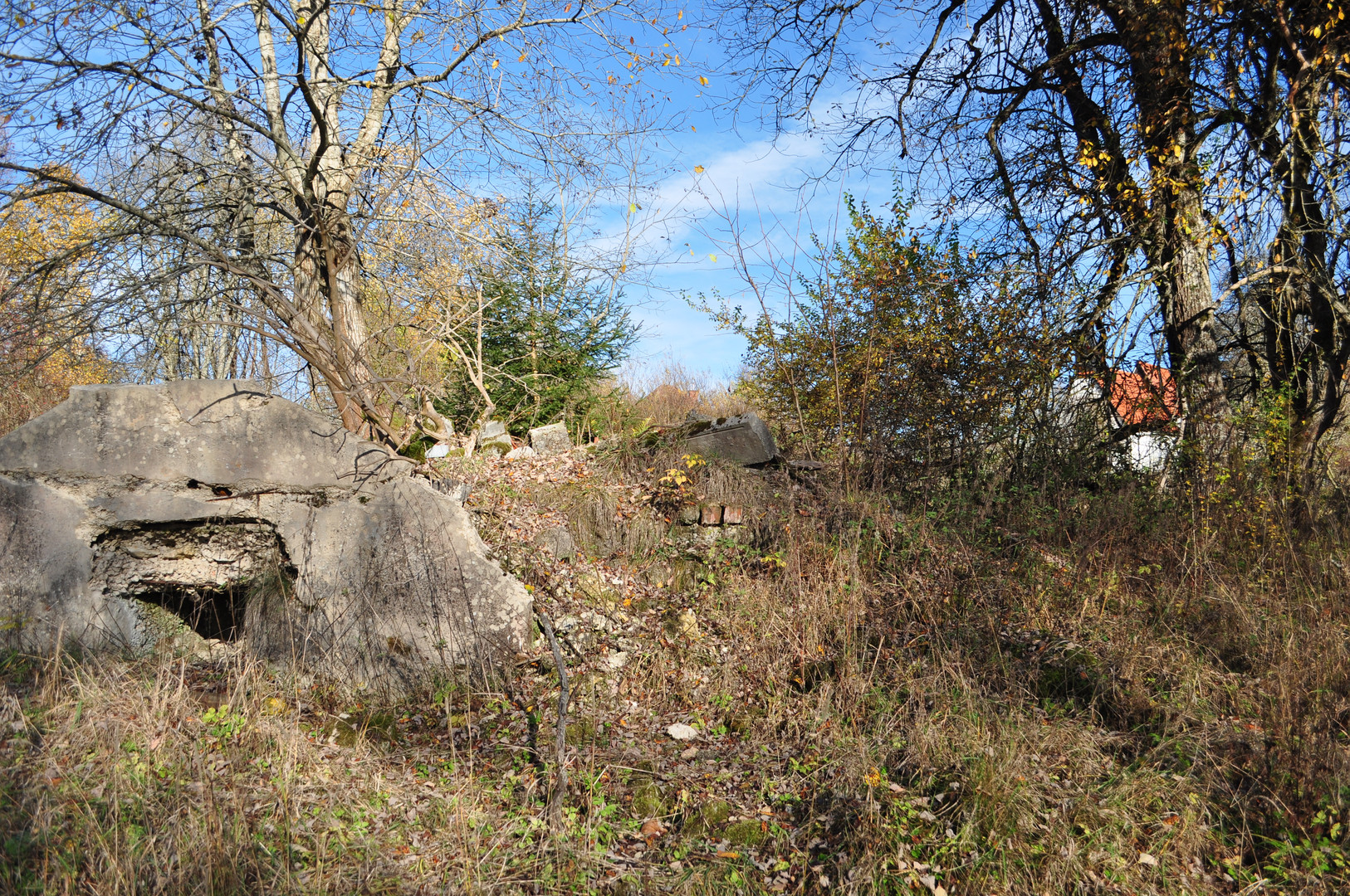 Gruorn-11-20-die Natur kehrt zurück-03 Foto & Bild | landschaft ...