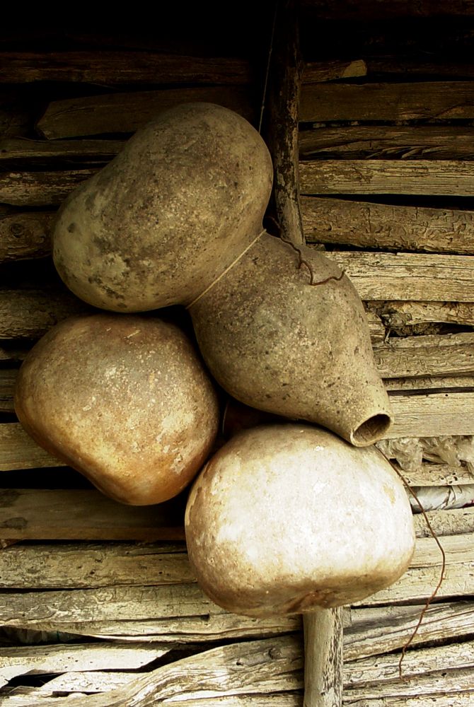 GUAJE Imagen & Foto | fine art, mÉxico, especial Fotos de fotocommunity