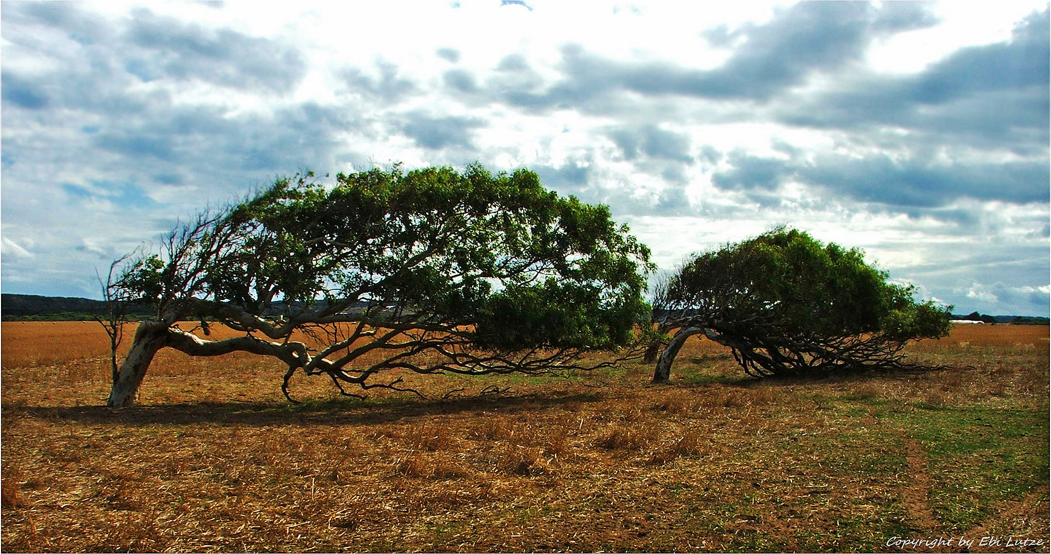 * Guess where the Wind comes from * Foto & Bild | australia & oceania ...