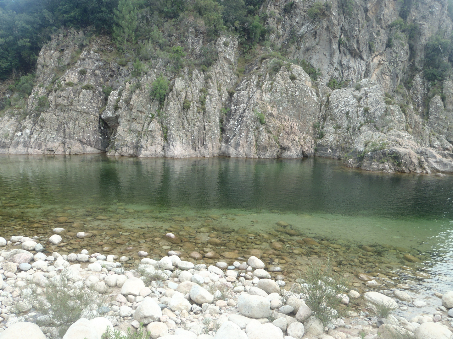 Gumpe!! Foto & Bild | anfängerecke - nachgefragt, nachgefragt ...