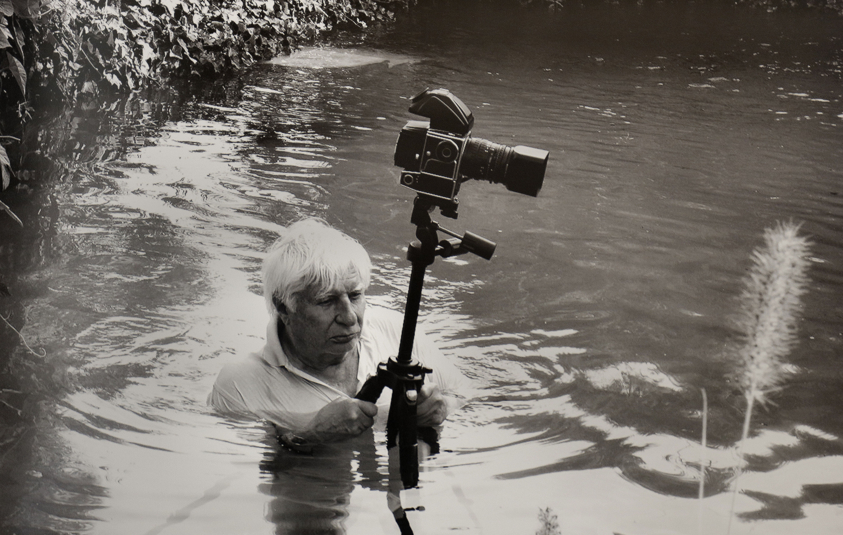 Gunter Sachs - Fotoausstellung - x 11 Foto & Bild | münchen ...