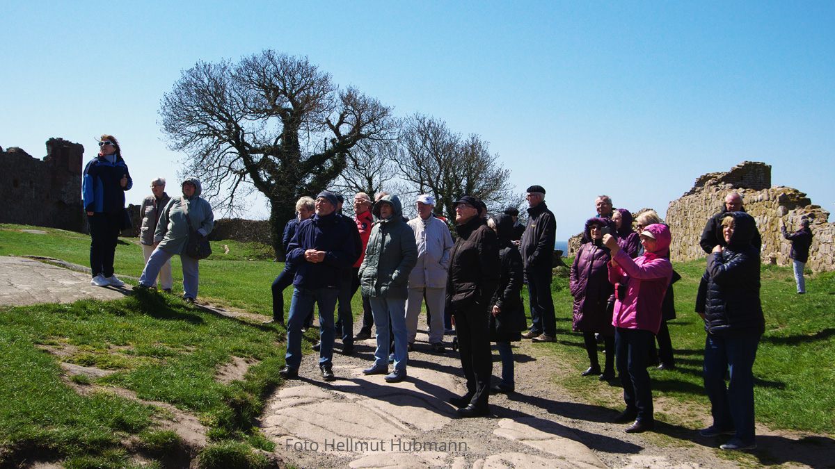 GUT GELAUNT UND LOCKER VOR Foto & Bild | world, bäume, meer Bilder auf ...