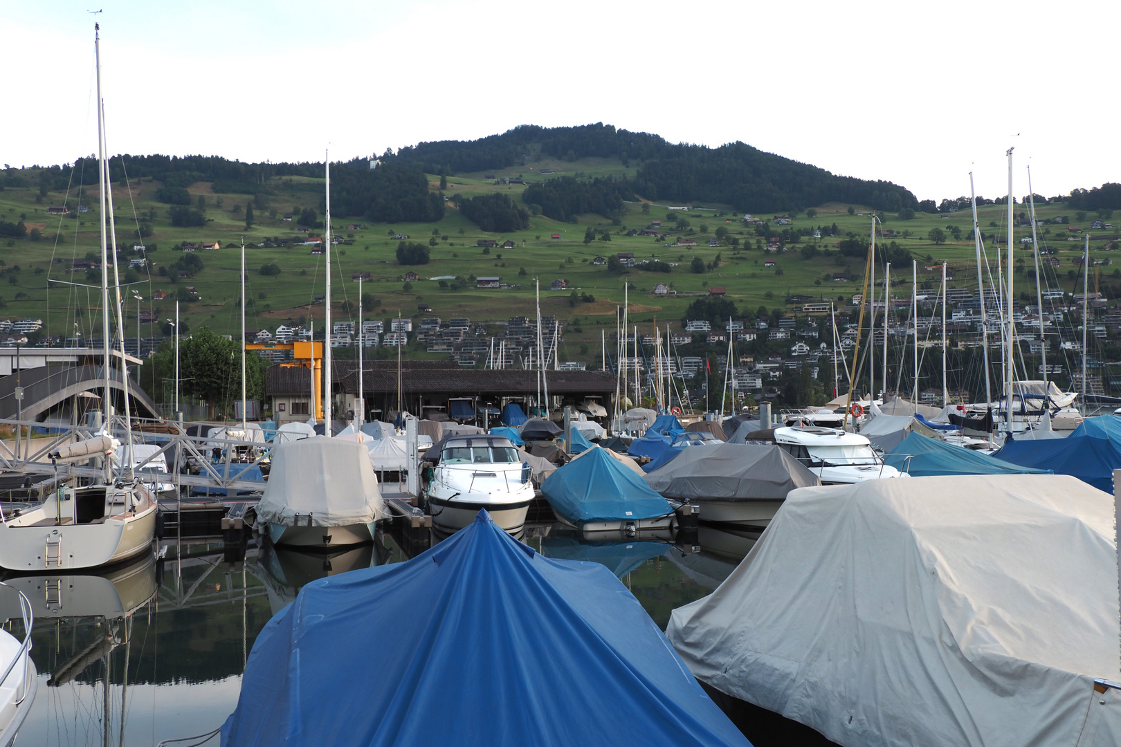 gut geschützt Foto & Bild | projekte, 1 - montag - blue monday, thementage Bilder auf fotocommunity