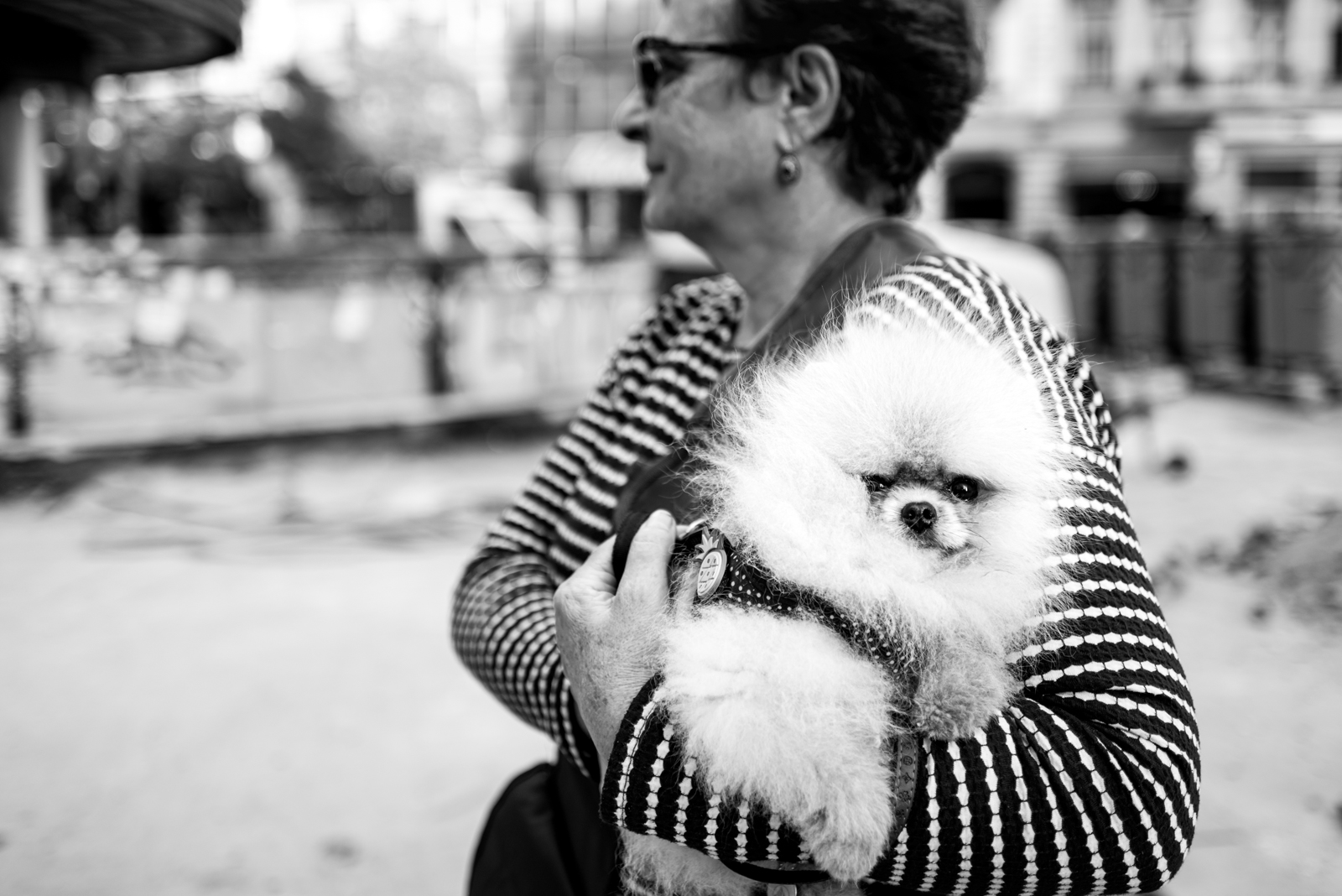 Gut isoliert Foto & Bild | tiere, streetfotografie mit menschen, tier und mensch Bilder auf ...