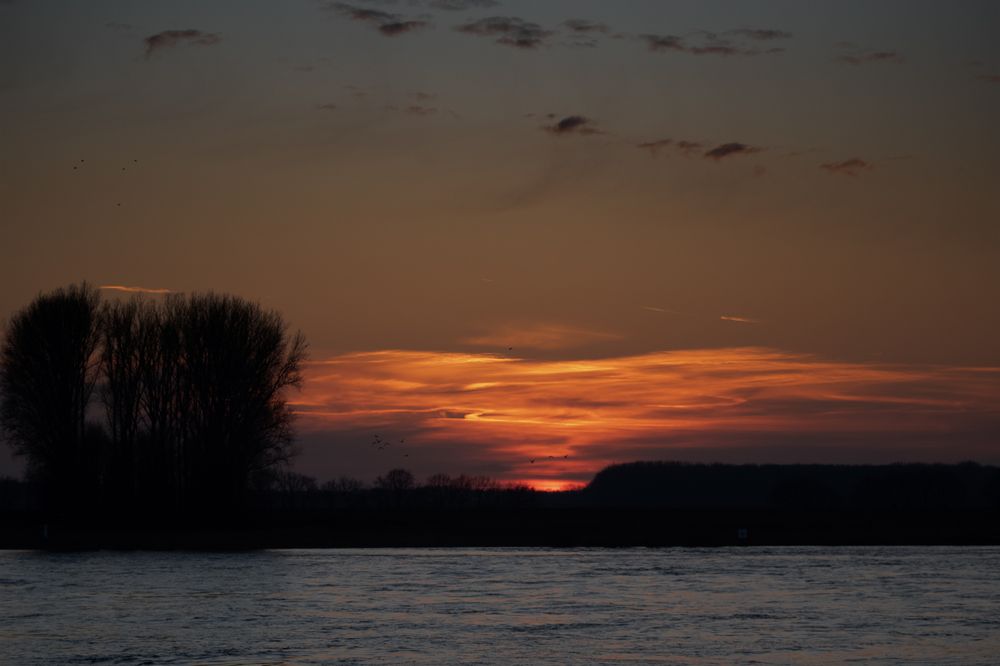 Gute Nacht Foto And Bild Natur Bilder Auf Fotocommunity