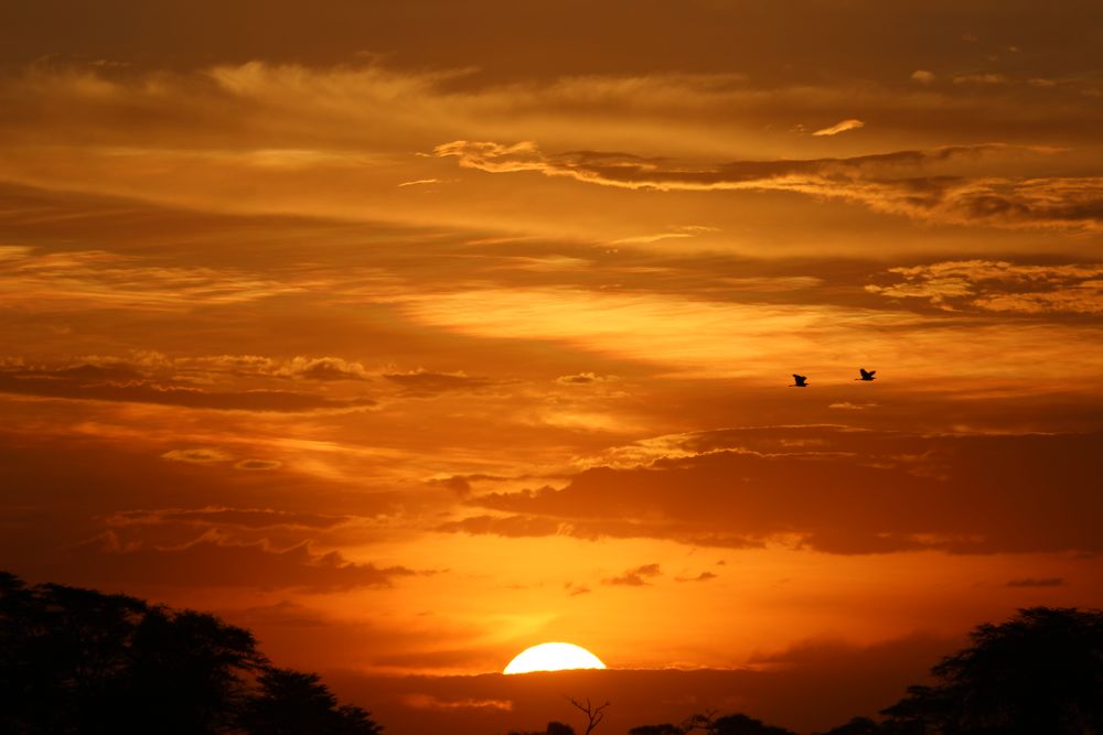 Gute Nacht Foto And Bild Landschaft Naturlandschaft Bei Nacht