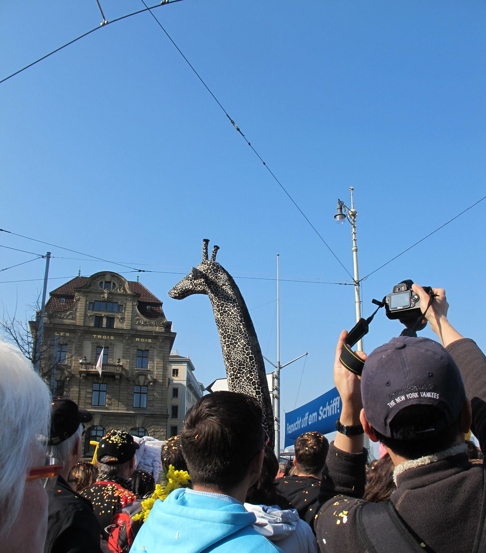 Gute Übersicht an der Basler Fasnacht. Foto & Bild | europe, schweiz & liechtenstein, kt. basel ...